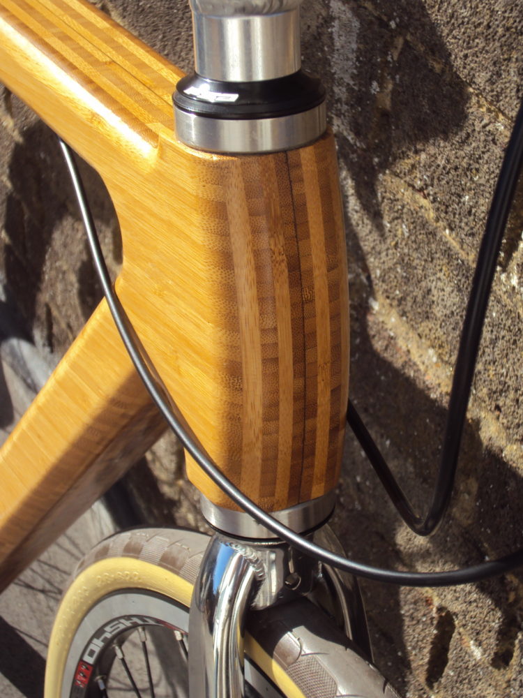 Beautiful Bamboo Bicycle - Moso Bamboo Surfaces